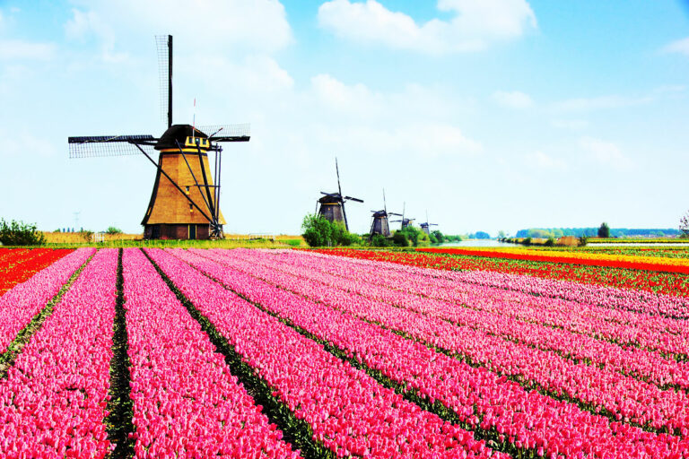 Days of the Week, Months, and Seasons in Dutch – uTalk Blog